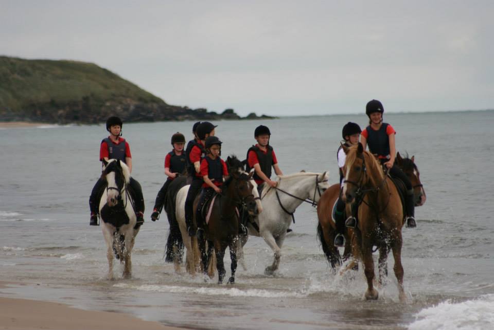 Beach Rides | Shrule Equestrian Centre