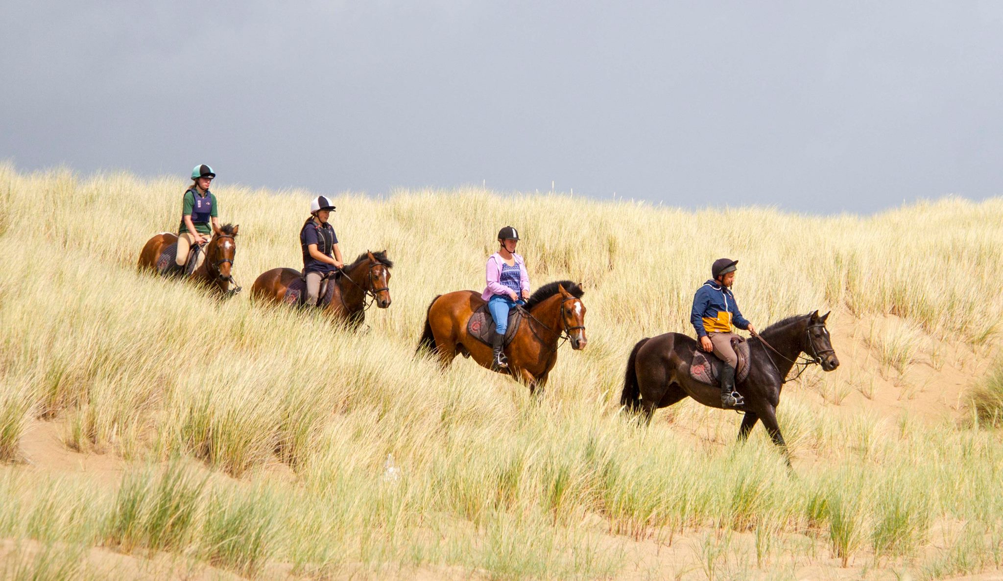 Shrule Equestrian Centre