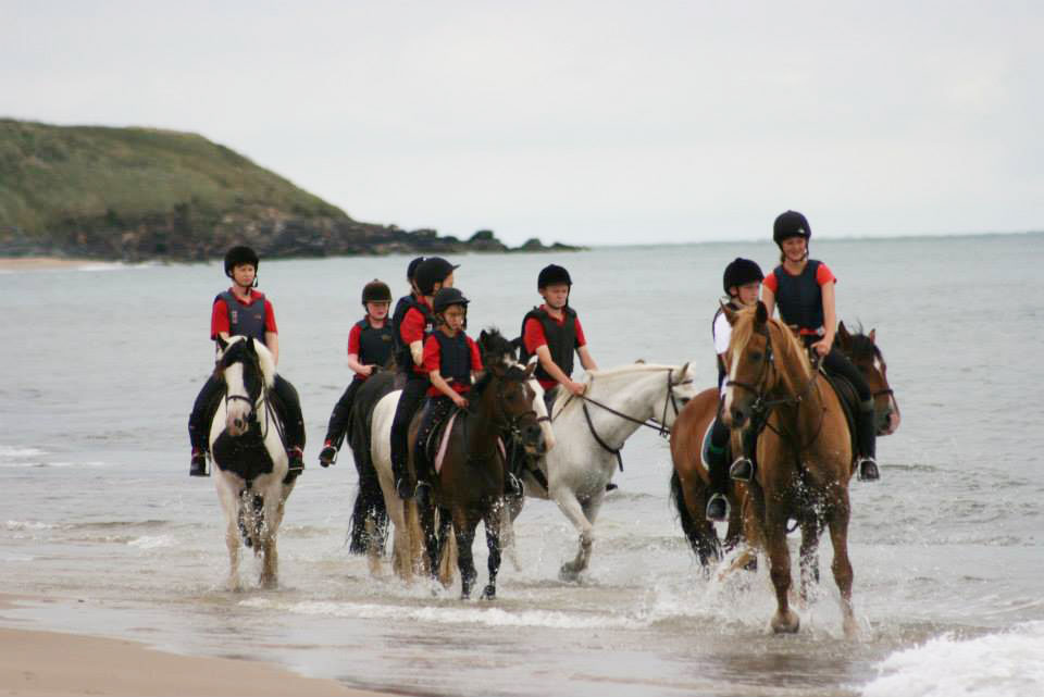Shrule Equestrian Centre