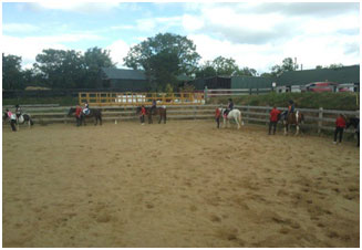 Lessons | Shrule Equestrian Centre