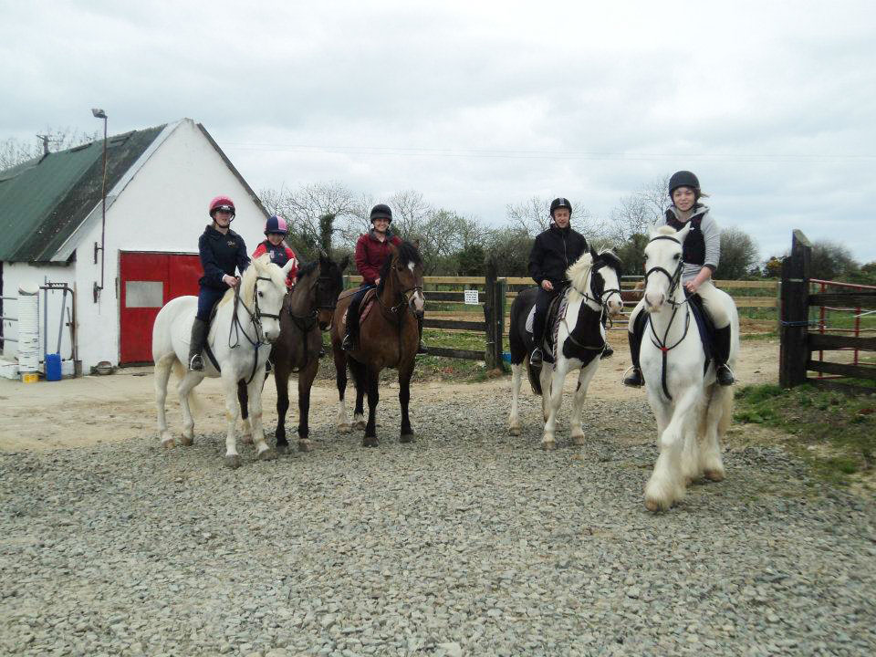 Shrule Equestrian Centre