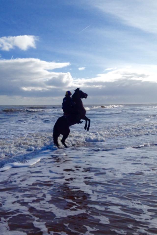 Beach Rides | Shrule Equestrian Centre